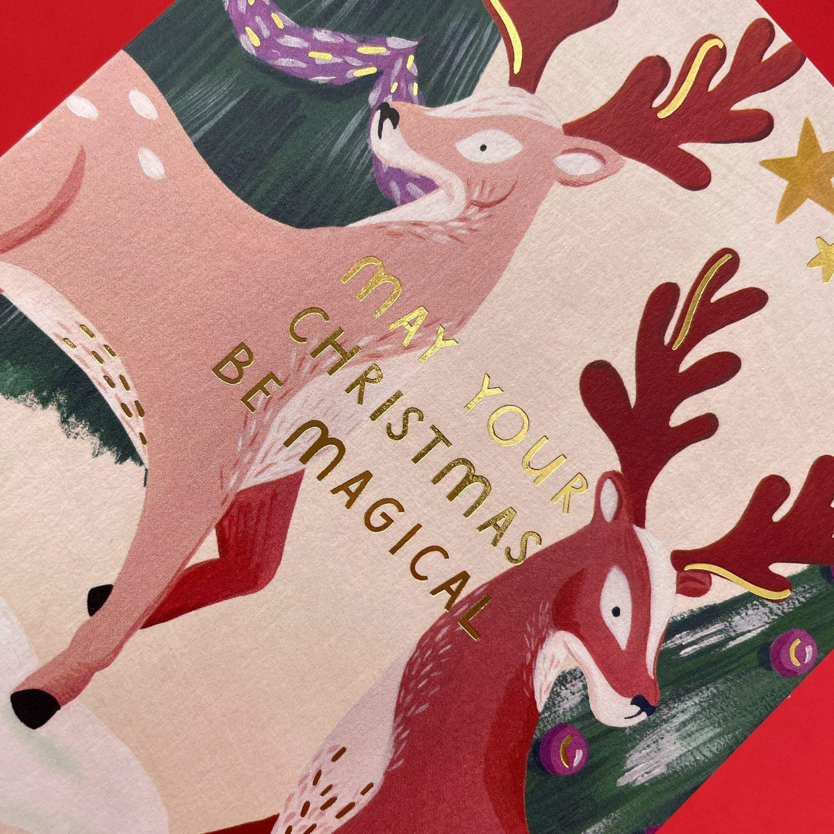 Christmas | Raspberry Blossom