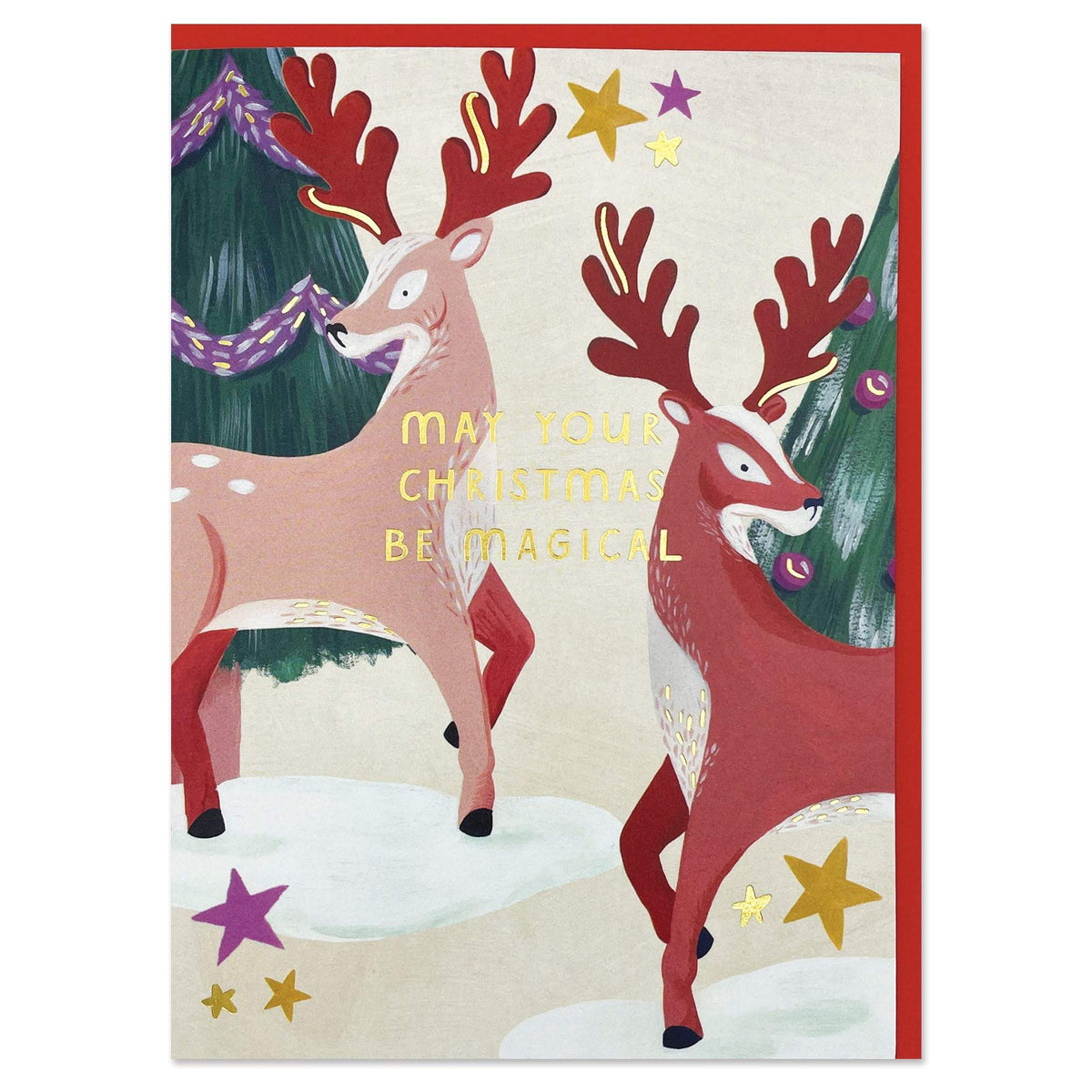 Christmas | Raspberry Blossom